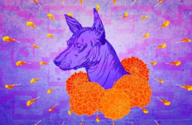 El perro Xólotl fue creado por los dioses para guiar las almas al ...